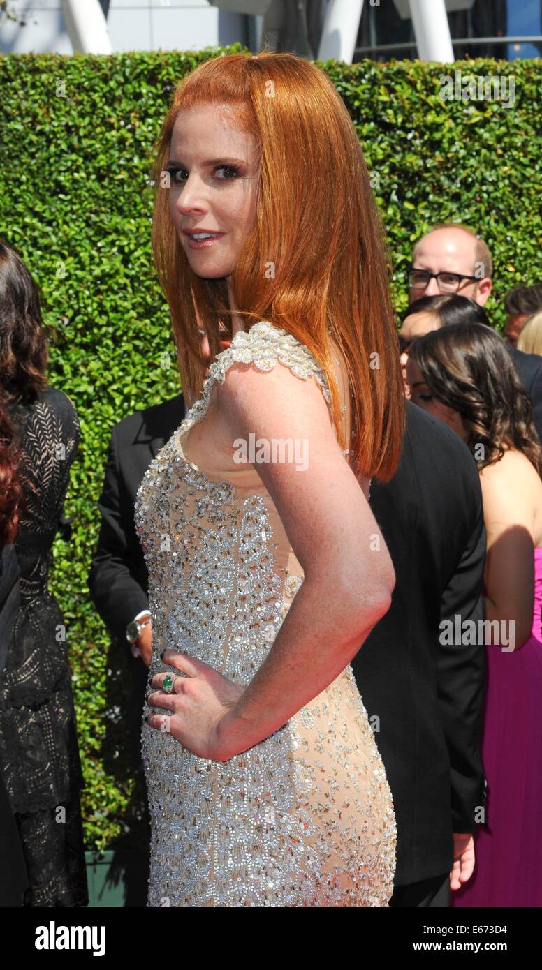 Los Angeles, CA, USA. 16th Aug, 2014. Sarah Rafferty at arrivals for ...