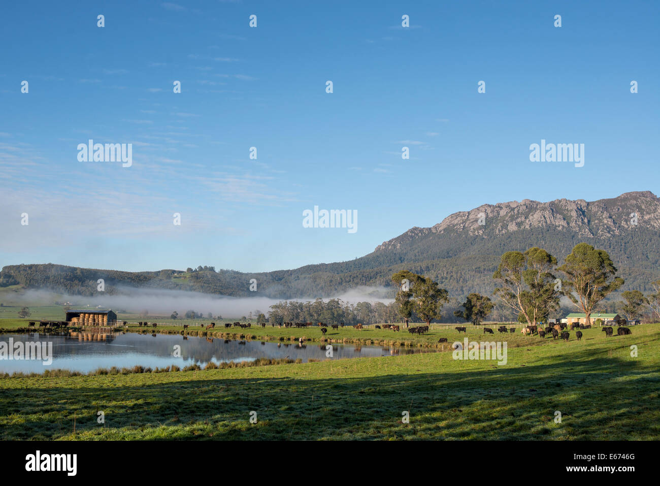 Tasmanian countryside and Mt Roland Stock Photo - Alamy
