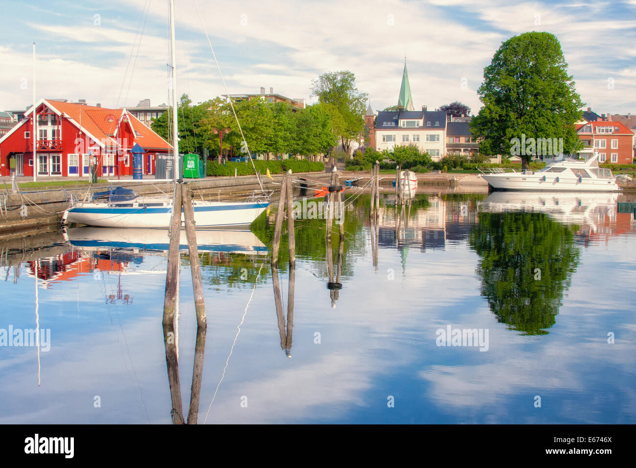 Norway spring landscape flowers hi-res stock photography and images - Alamy
