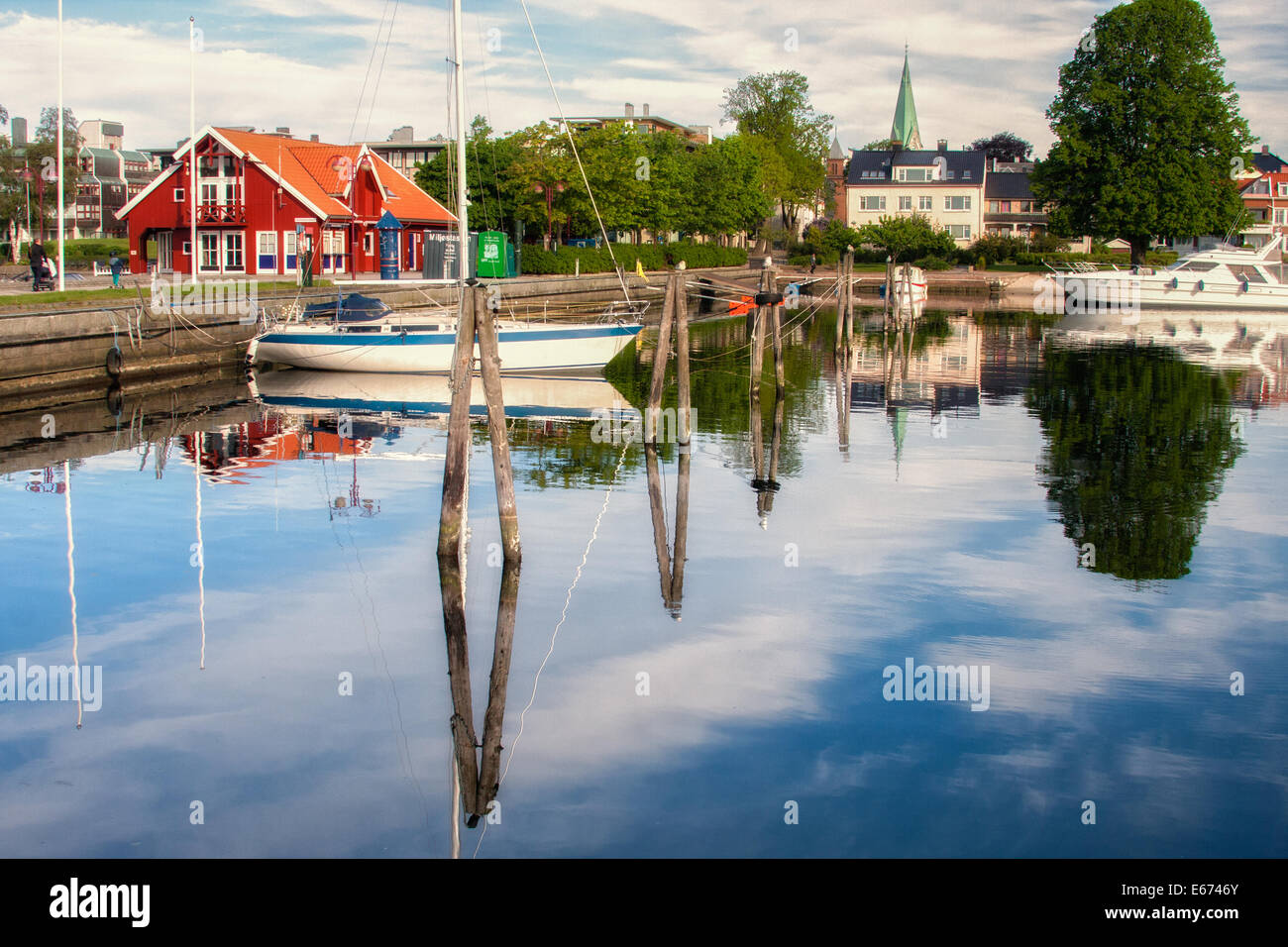 Norway spring landscape flowers hi-res stock photography and images - Alamy