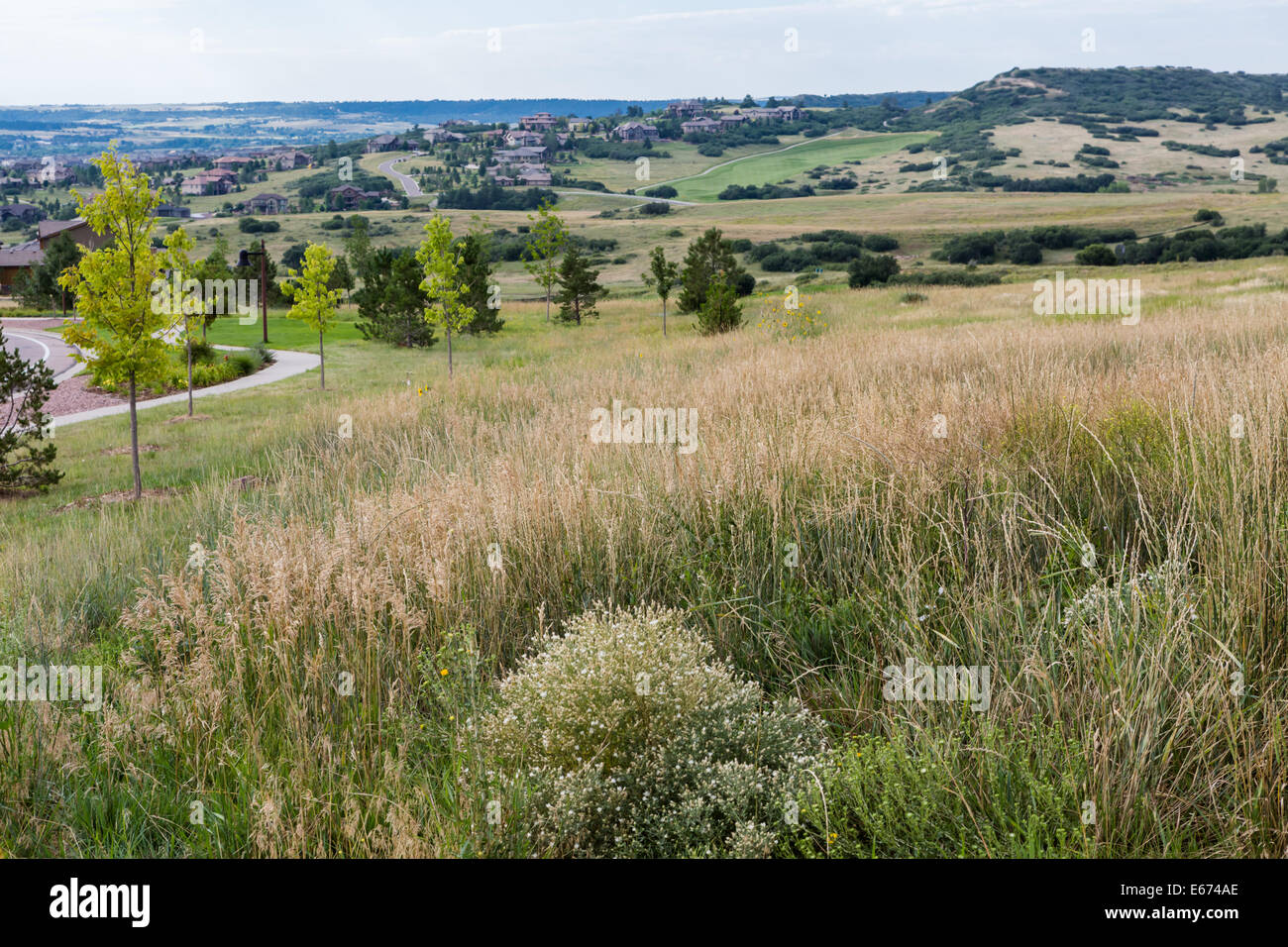 Typical American suburban community with model homes Stock Photo - Alamy