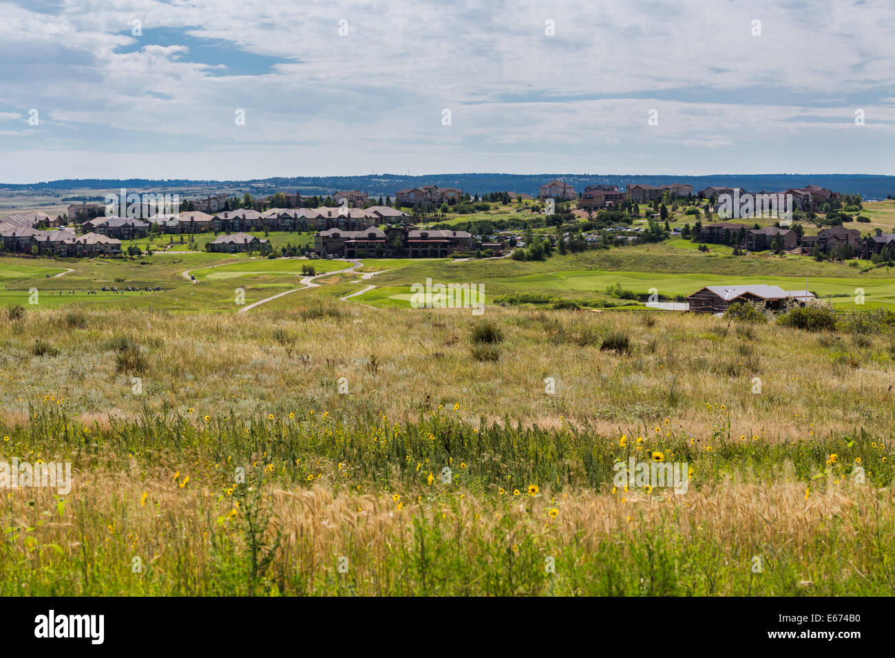 Typical American suburban community with model homes Stock Photo - Alamy
