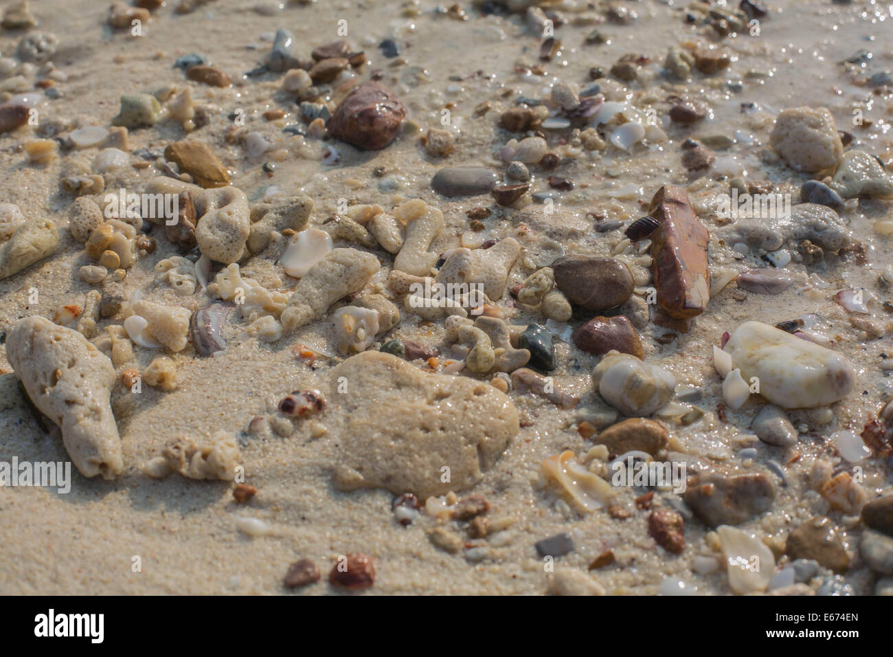 Sea shell and stone pieces texture Stock Photo - Alamy