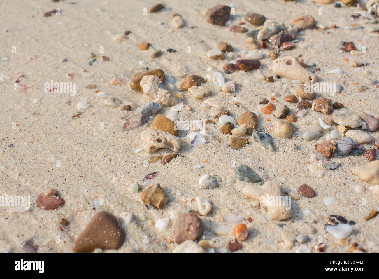 Sea shell and stone pieces texture Stock Photo - Alamy