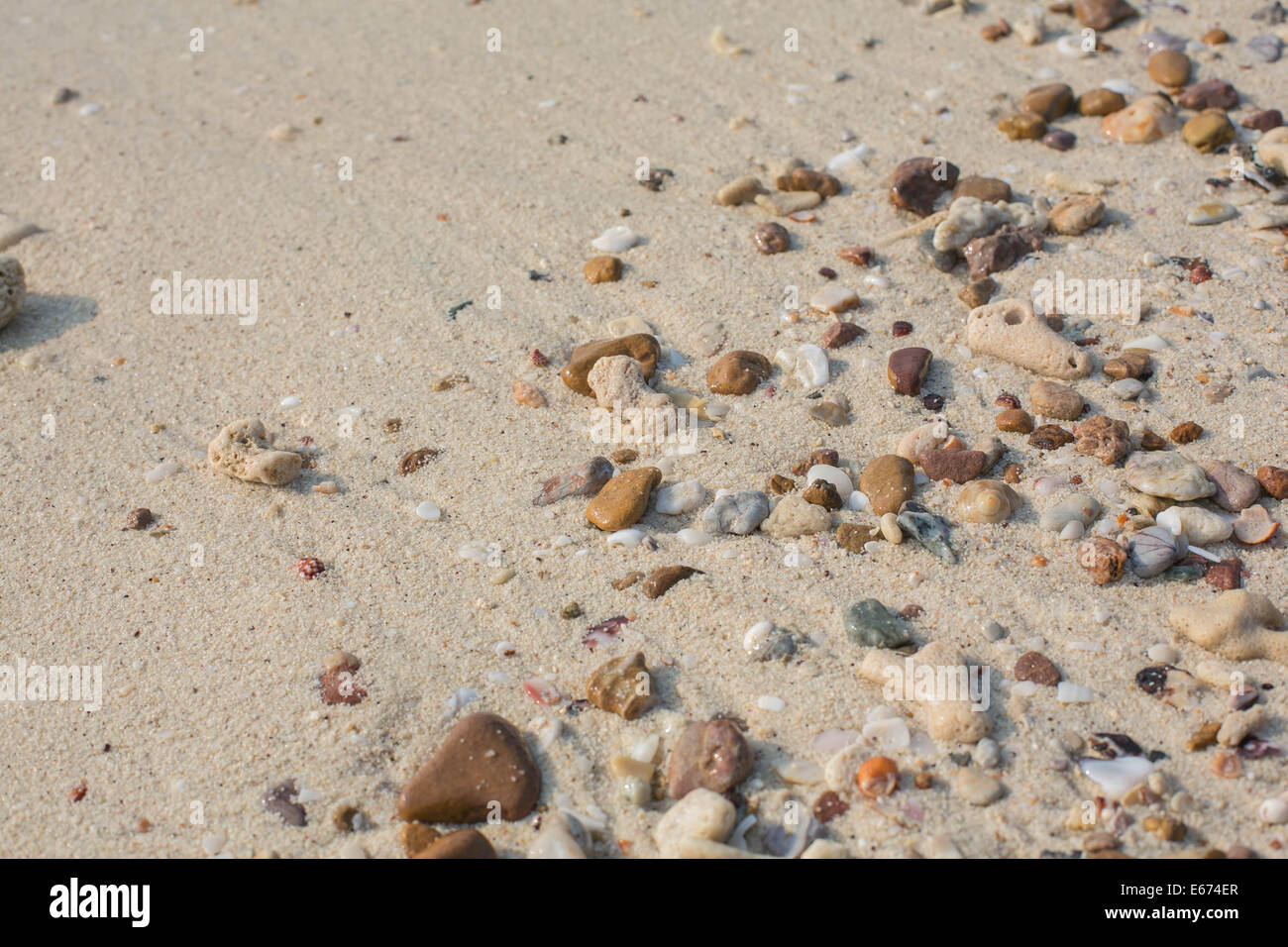 Sea shell and stone pieces texture Stock Photo - Alamy
