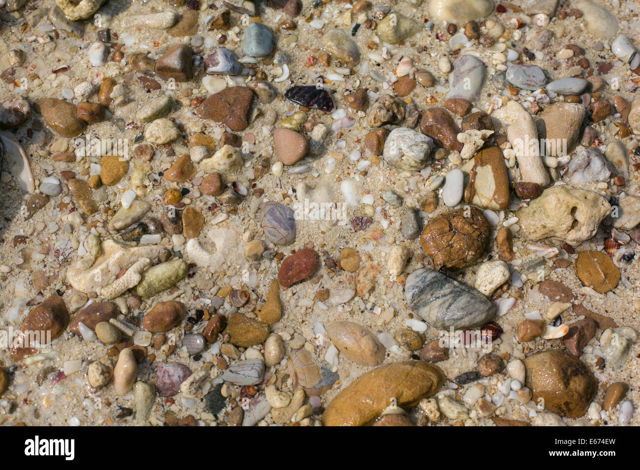Sea shell and stone pieces texture Stock Photo - Alamy