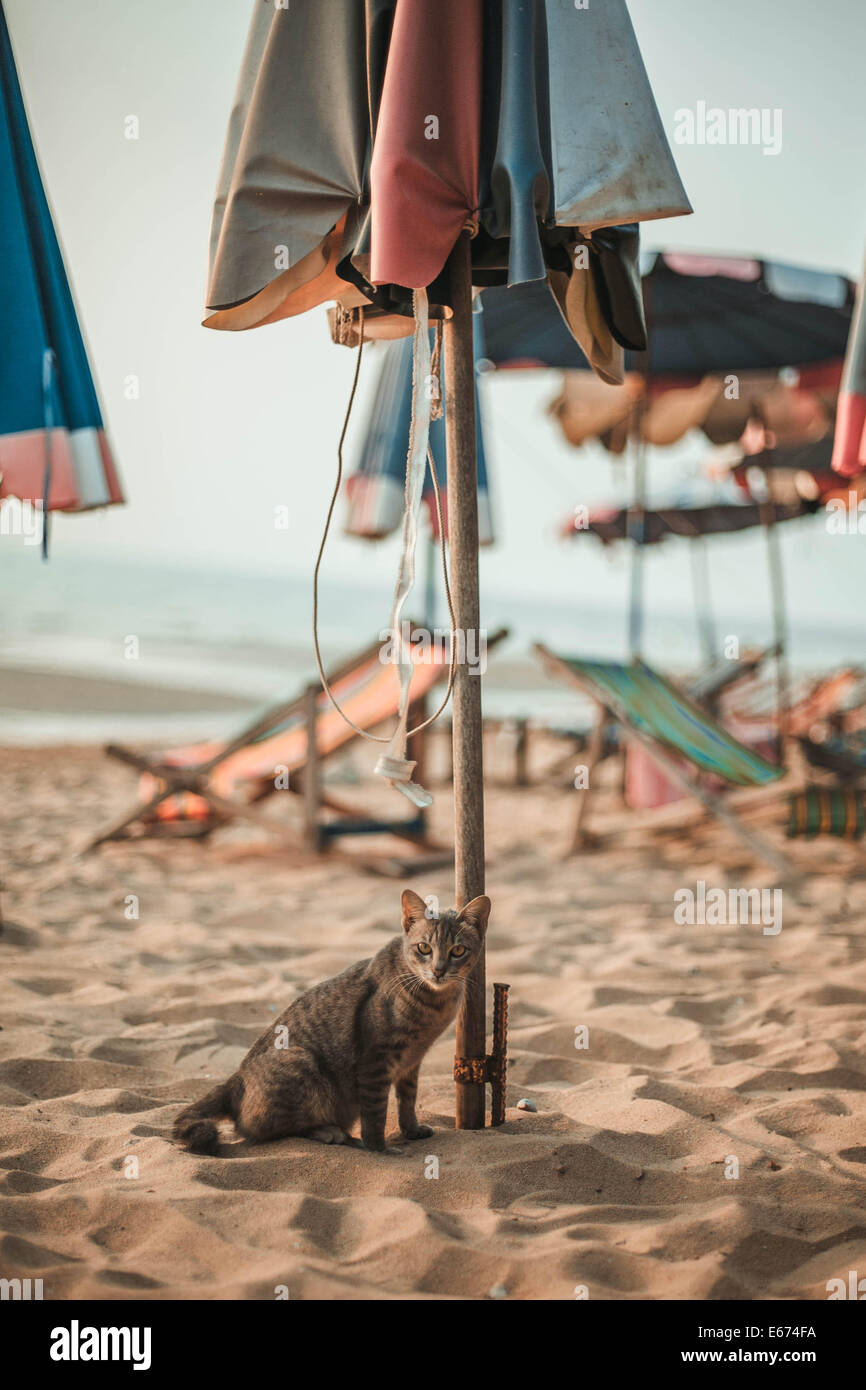 Pink sad beach hi-res stock photography and images - Alamy