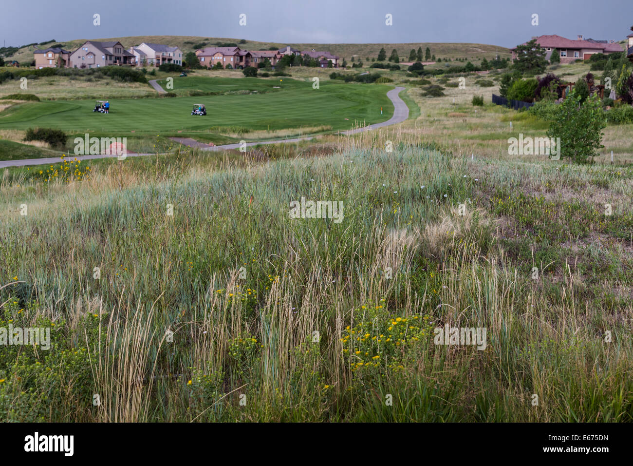 Typical American suburban community with model homes Stock Photo - Alamy