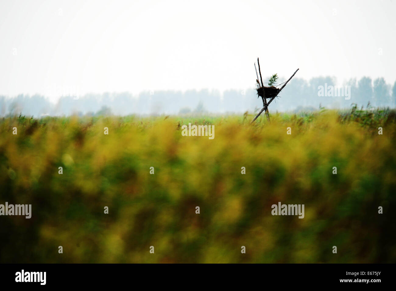 Artificial Stork Nest High Resolution Stock Photography and Images - Alamy