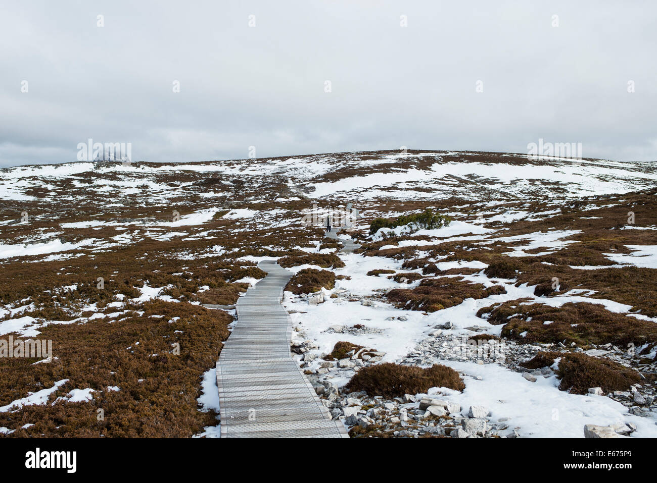 Overland track, Tasmania Stock Photo - Alamy