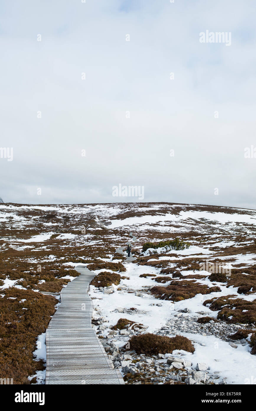 Overland track, Tasmania Stock Photo - Alamy