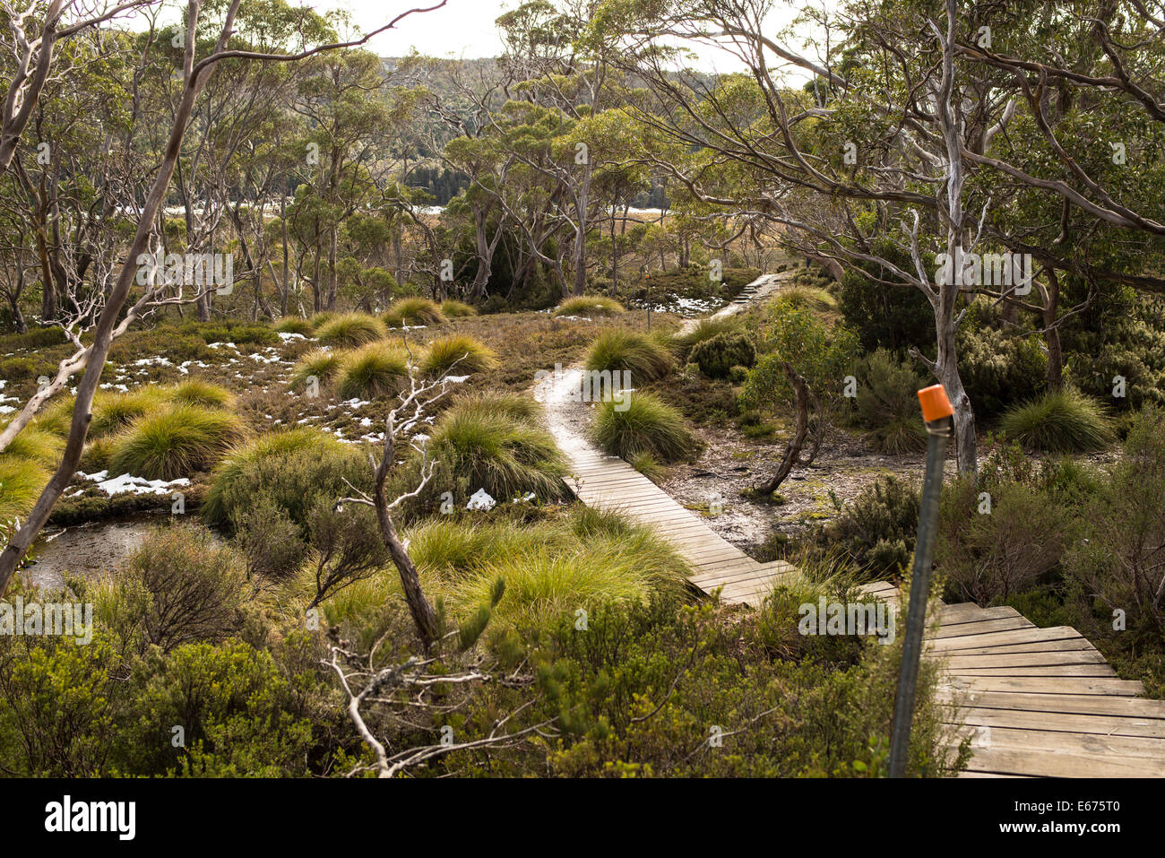Overland track, Tasmania Stock Photo - Alamy
