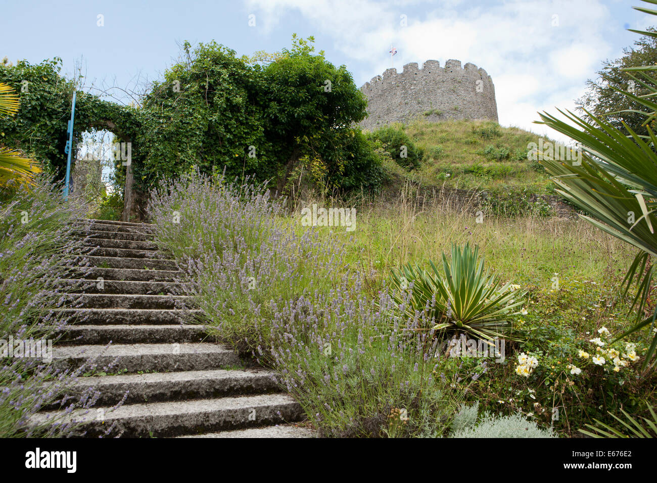 The House and fine gardens in the grounds of Trematon Castle, nr ...