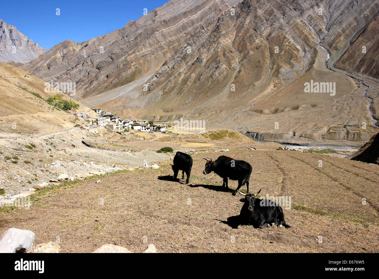 Mudh village hi-res stock photography and images - Alamy