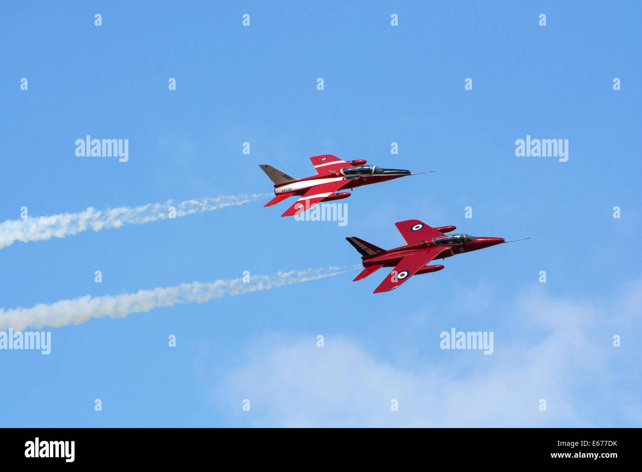 Flying gnat hi-res stock photography and images - Alamy
