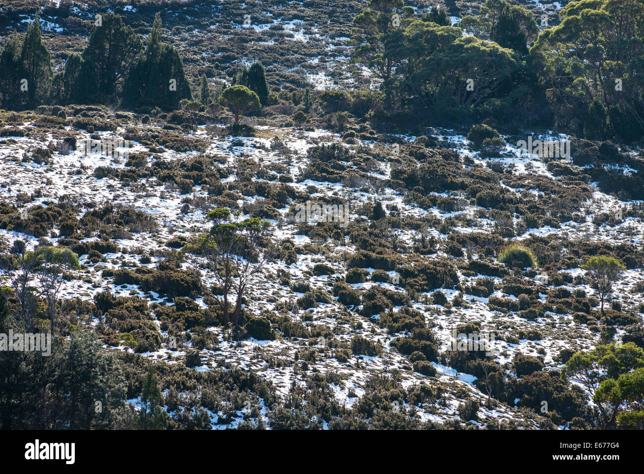 Snow covered landscape, Overland track, Tasmania, Australia Stock Photo ...
