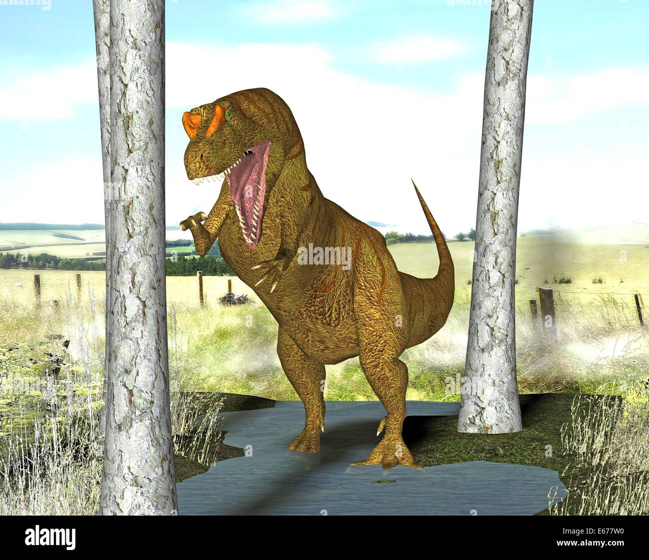 Alioramus hi-res stock photography and images - Alamy