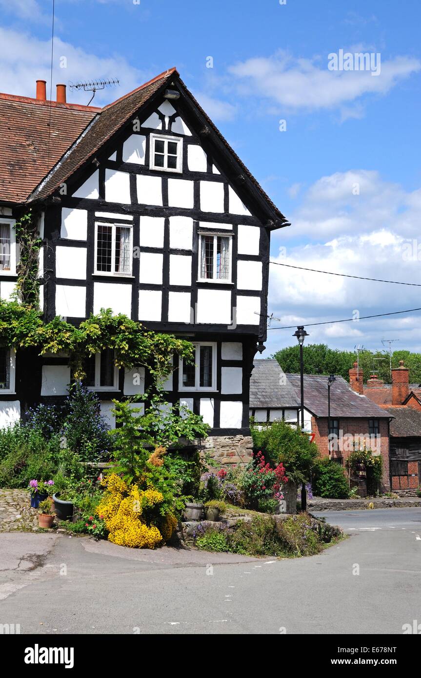 Traditional white timbered building in the Market Place, Pembridge ...