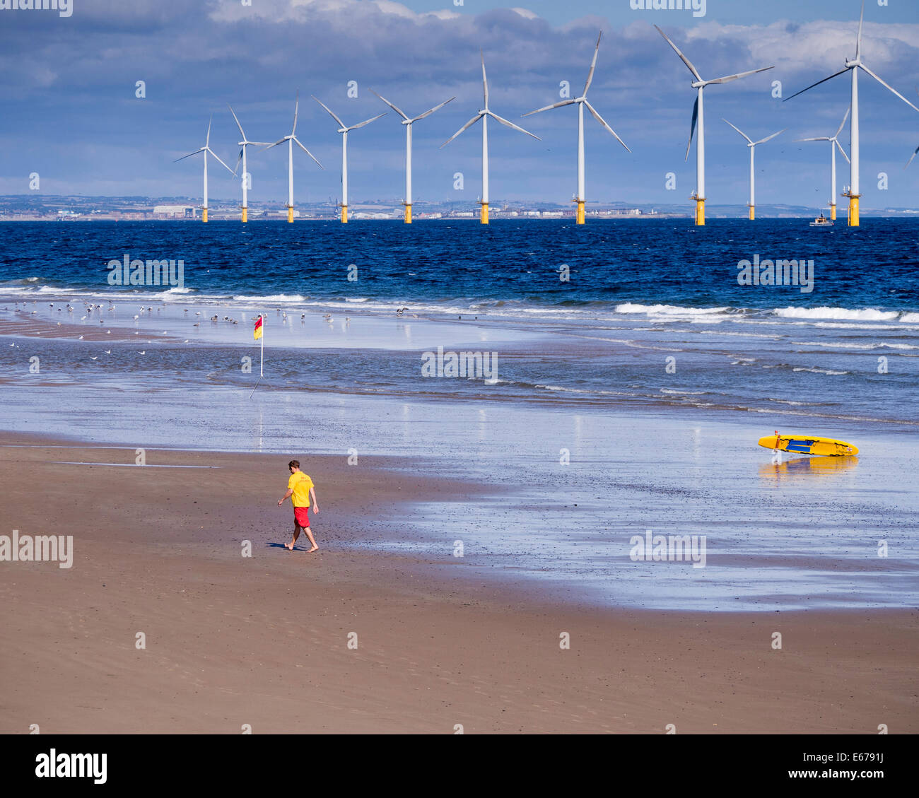 Beach lifeguard setting out flags to show the limits of safe bathing on ...