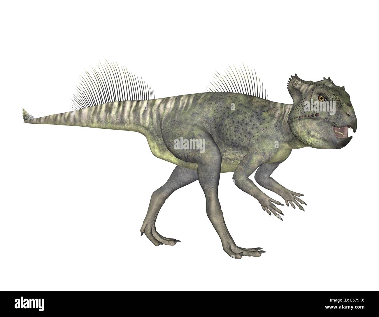 Archaeoceratops dinosaur hi-res stock photography and images - Alamy