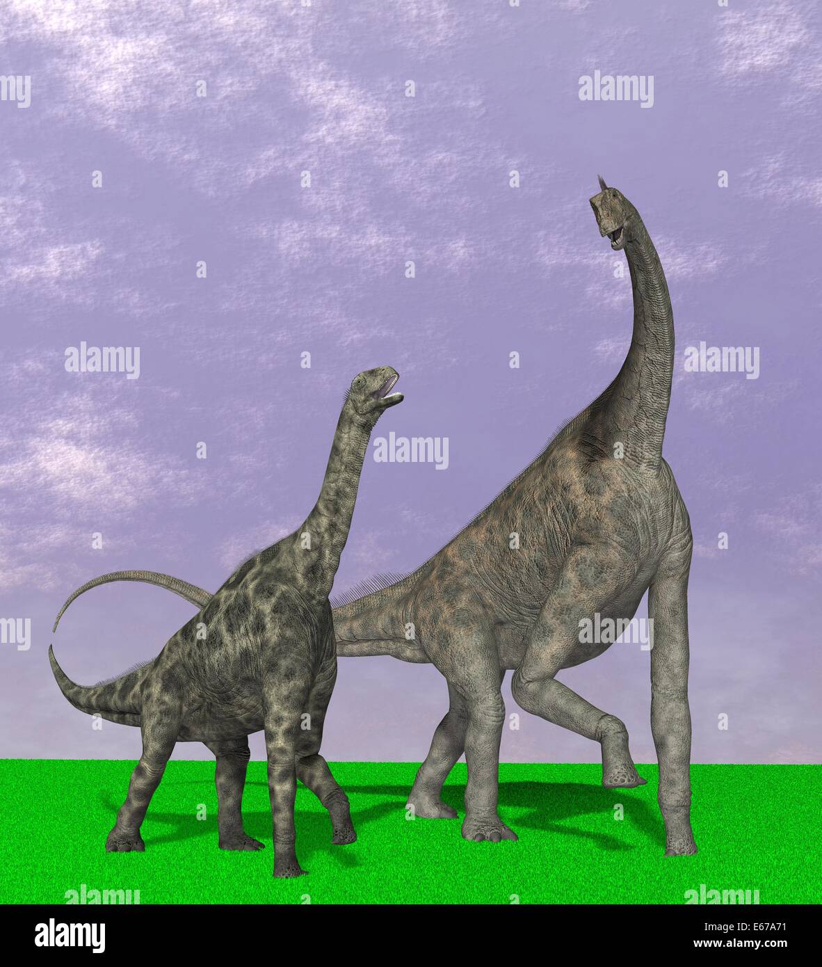 Dinosaurier Atlasaurus / dinosaur Atlasaurus Stock Photo - Alamy