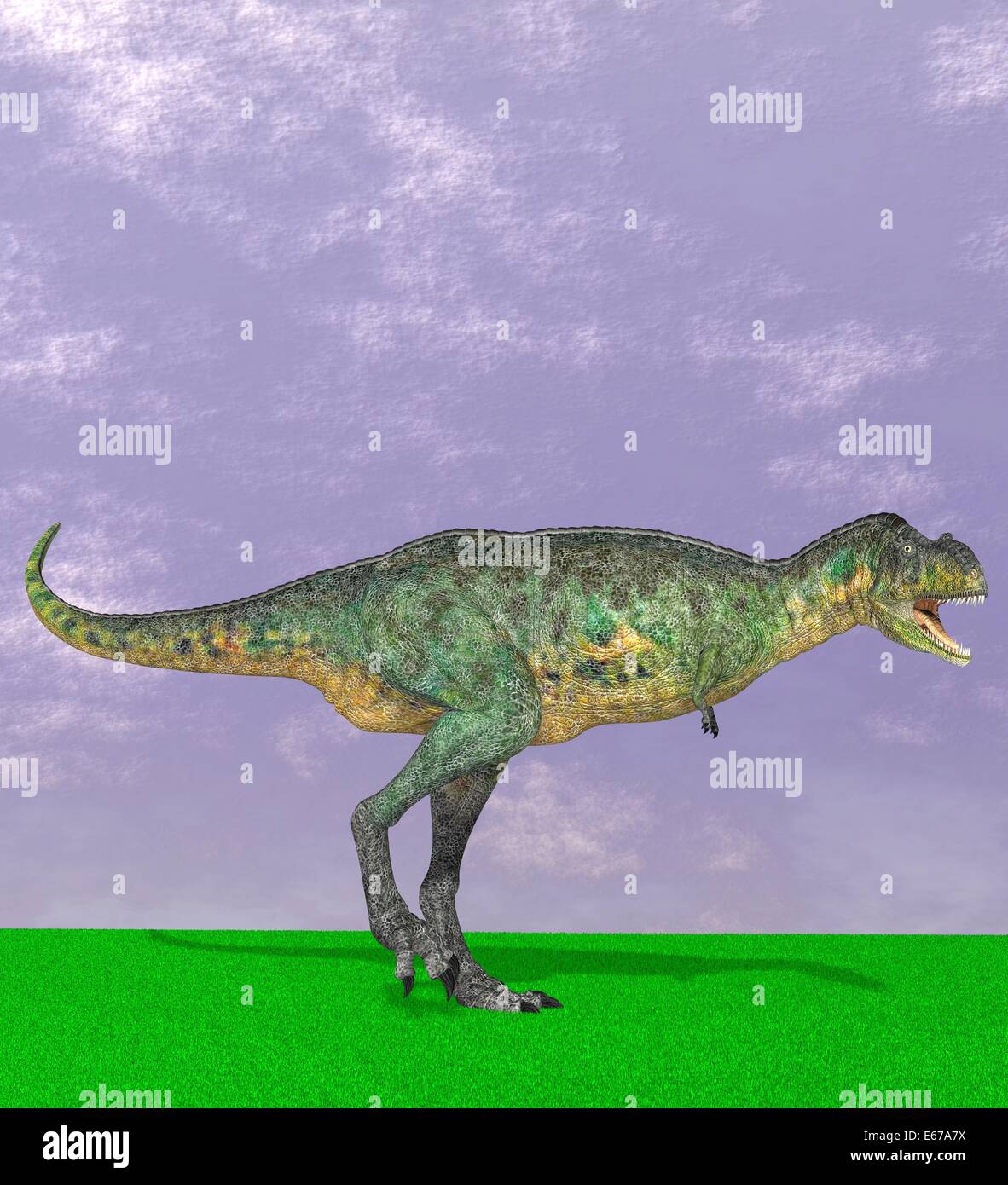 Dinosaurier Aucasaurus / dinosaur Aucasaurus Stock Photo - Alamy