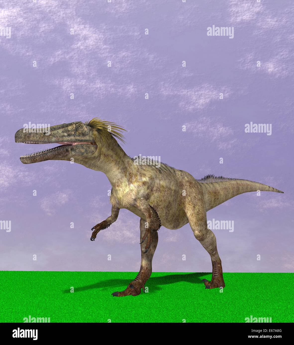 Dinosaurier Austroraptor / dinosaur Austroraptor Stock Photo - Alamy