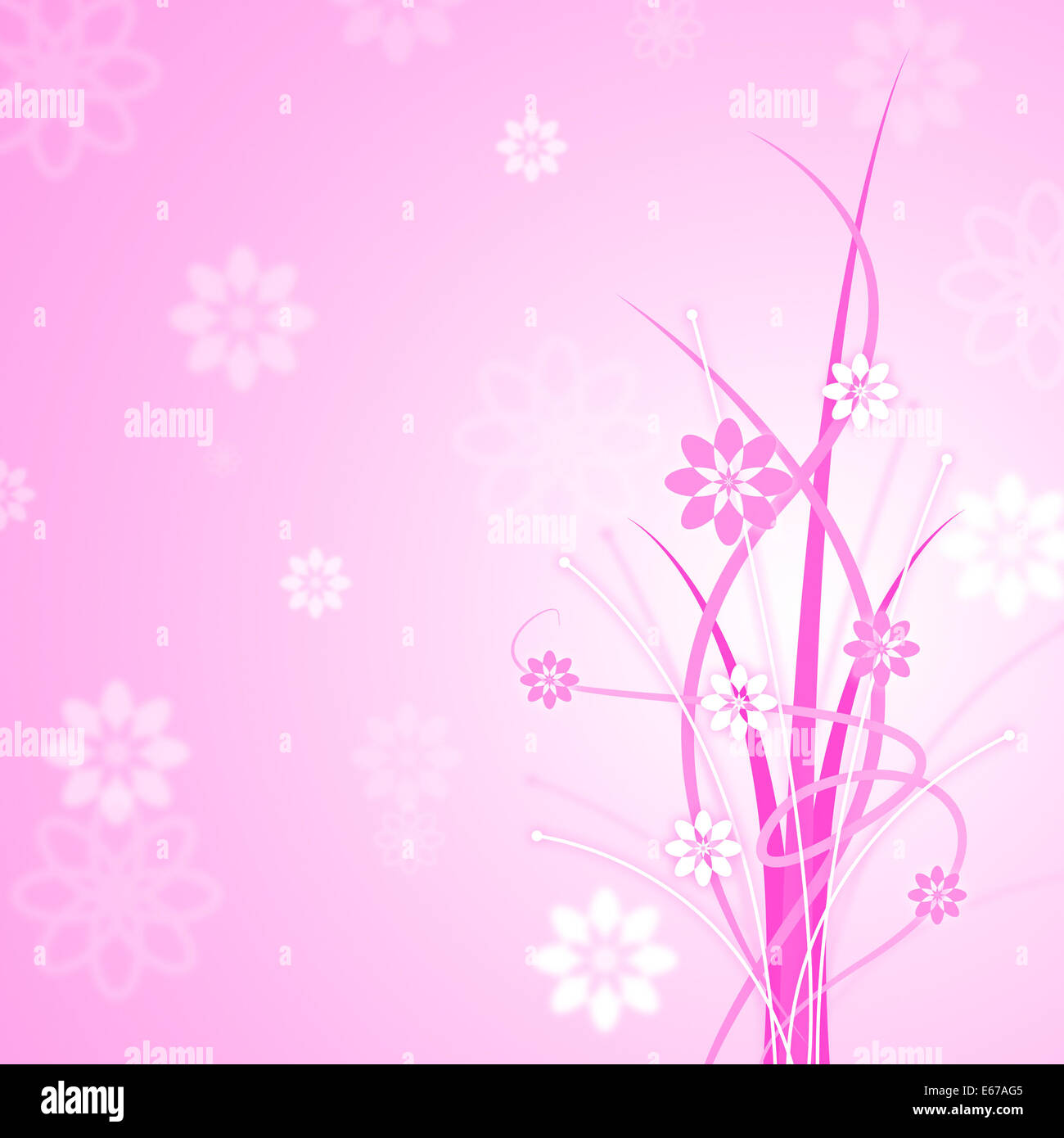 Pink Floral Representing Florist Background And Backdrop Stock Photo ...