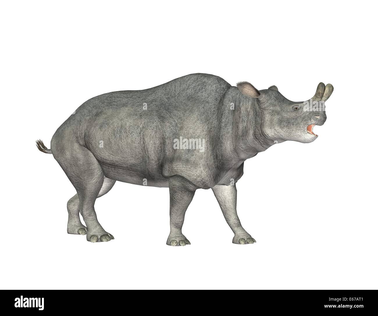 Megacerops