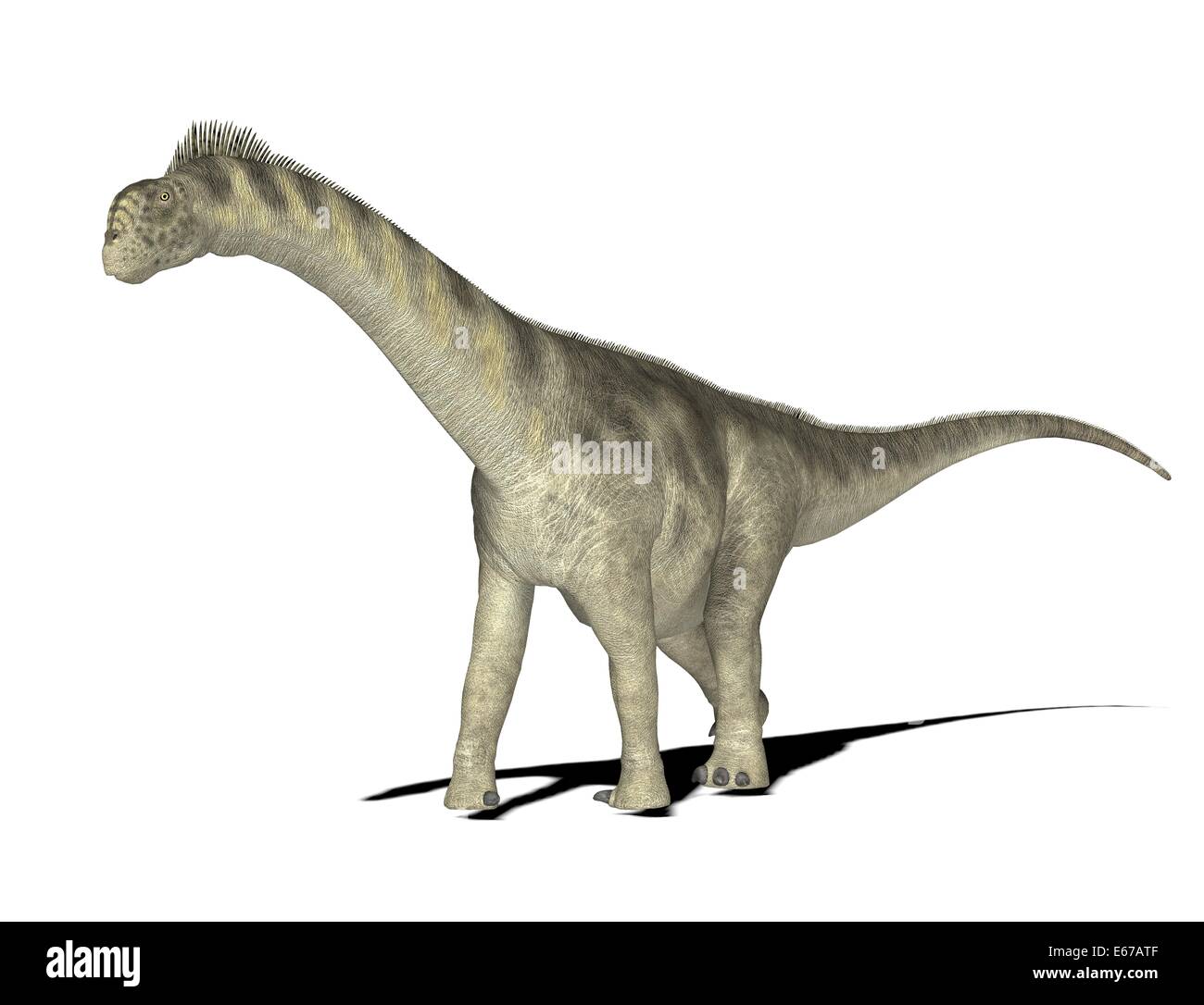 Dinosaurier Camarasaurus / dinosaur Camarasaurus Stock Photo - Alamy