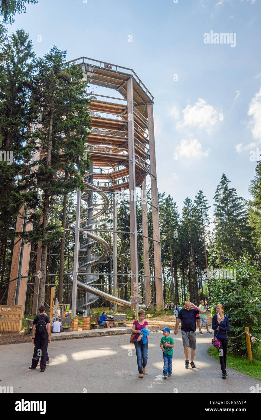 Treetop walk walkway hi-res stock photography and images - Alamy