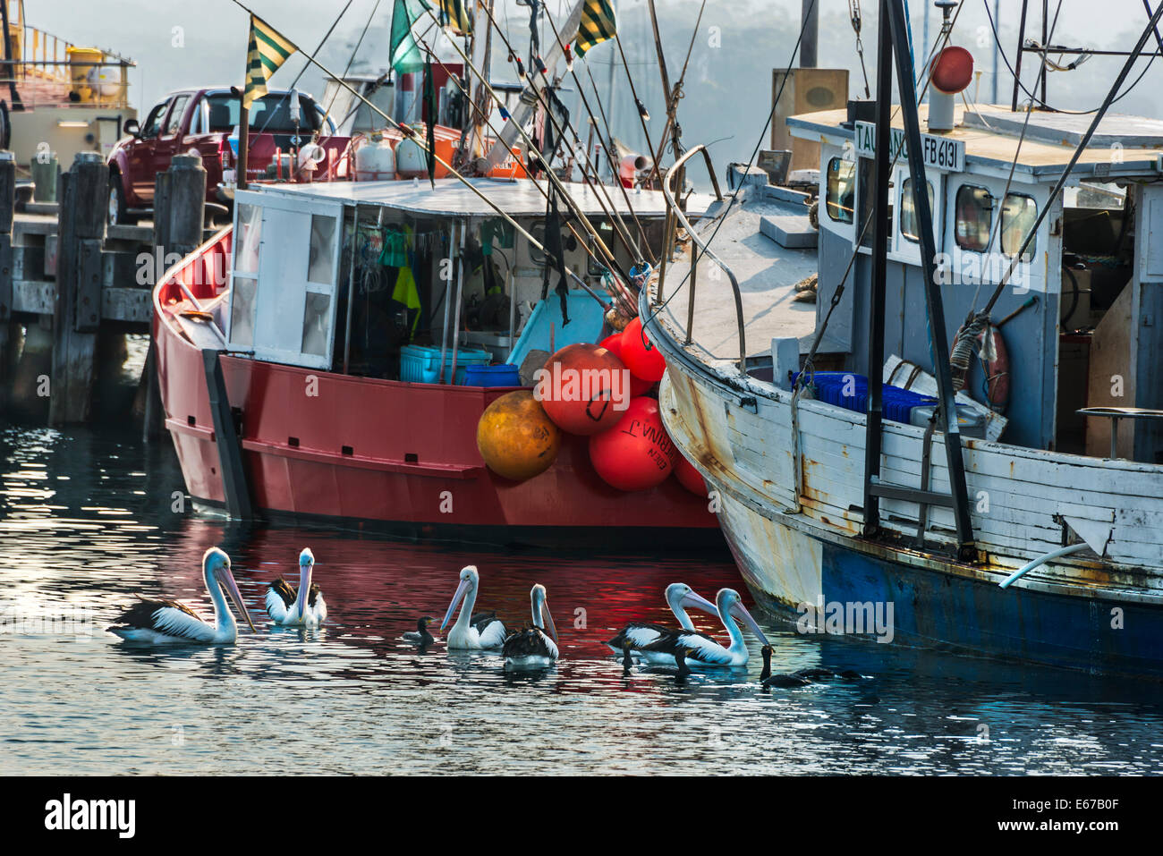 Nsw australia fishing trawlers maritime sea birds hi-res stock ...
