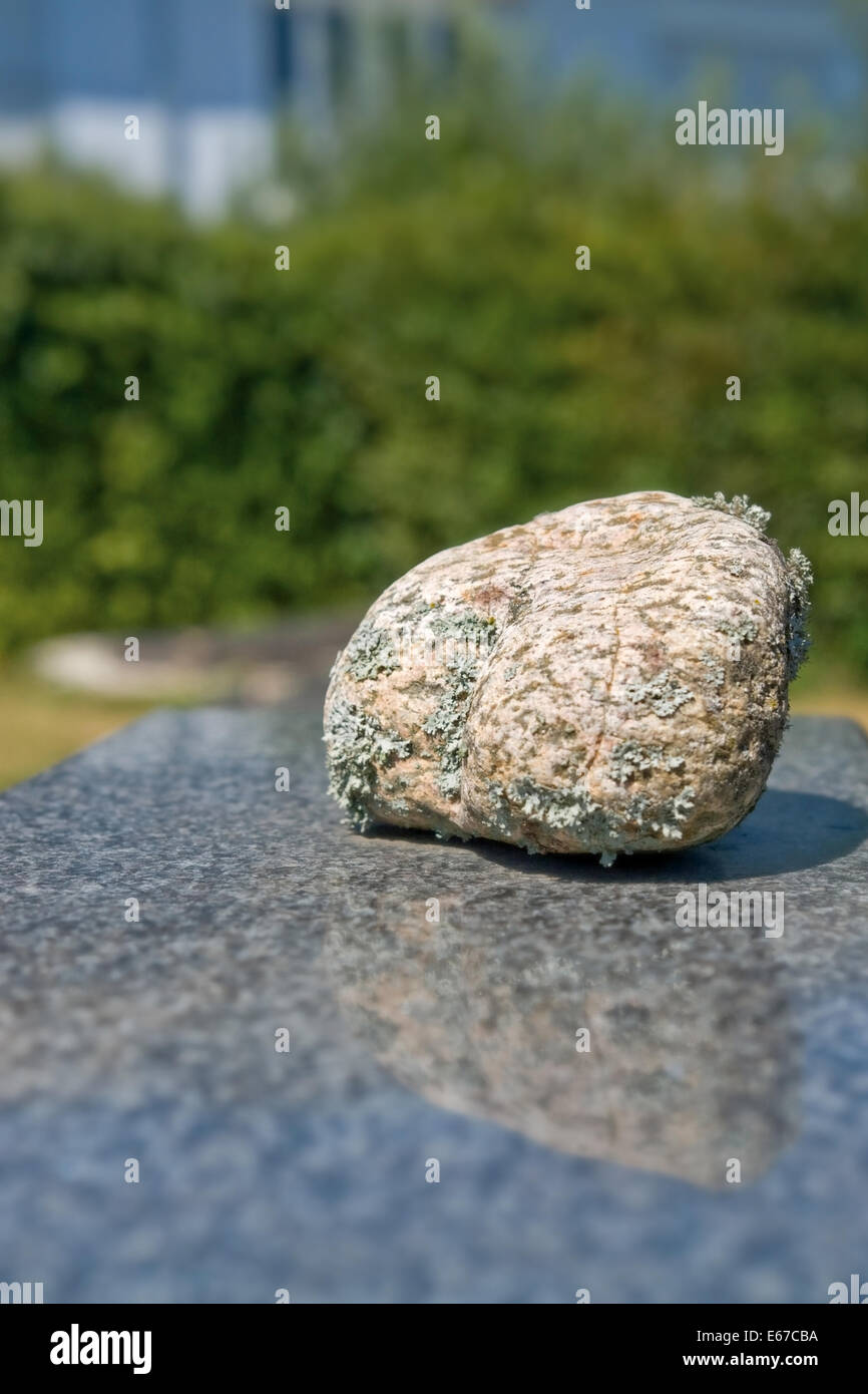 pebble on smooth reflective stone ground in front of natural back Stock ...