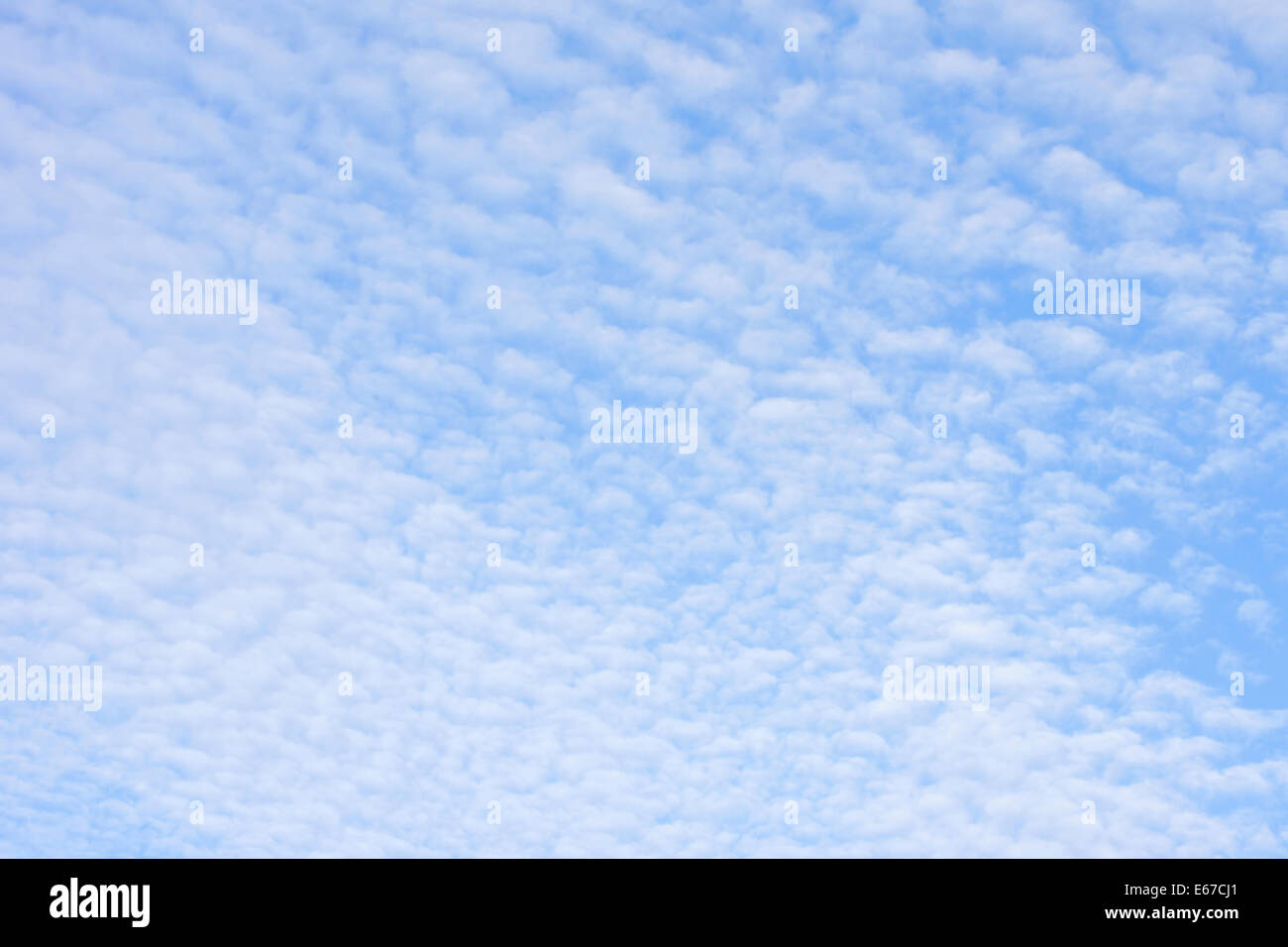 Fleecy hi-res stock photography and images - Alamy