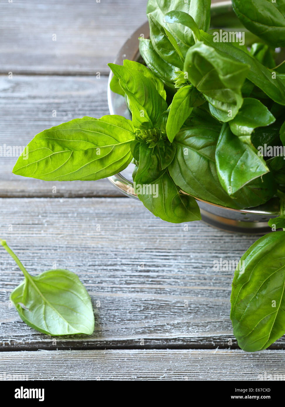 Top view fresh basil hi-res stock photography and images - Alamy