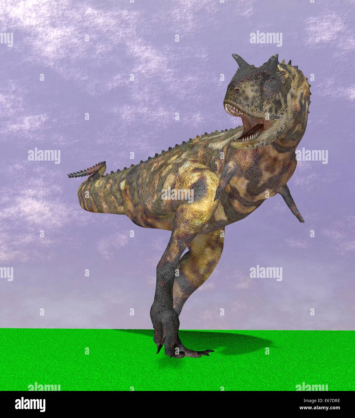 Carnotaurus hi-res stock photography and images - Alamy