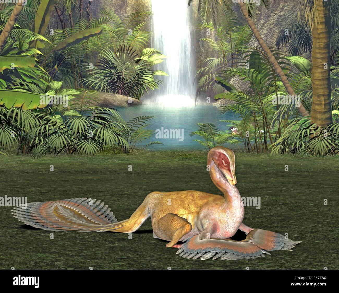 Dinosaurier Caudipteryx / dinosaur Caudipteryx Stock Photo - Alamy