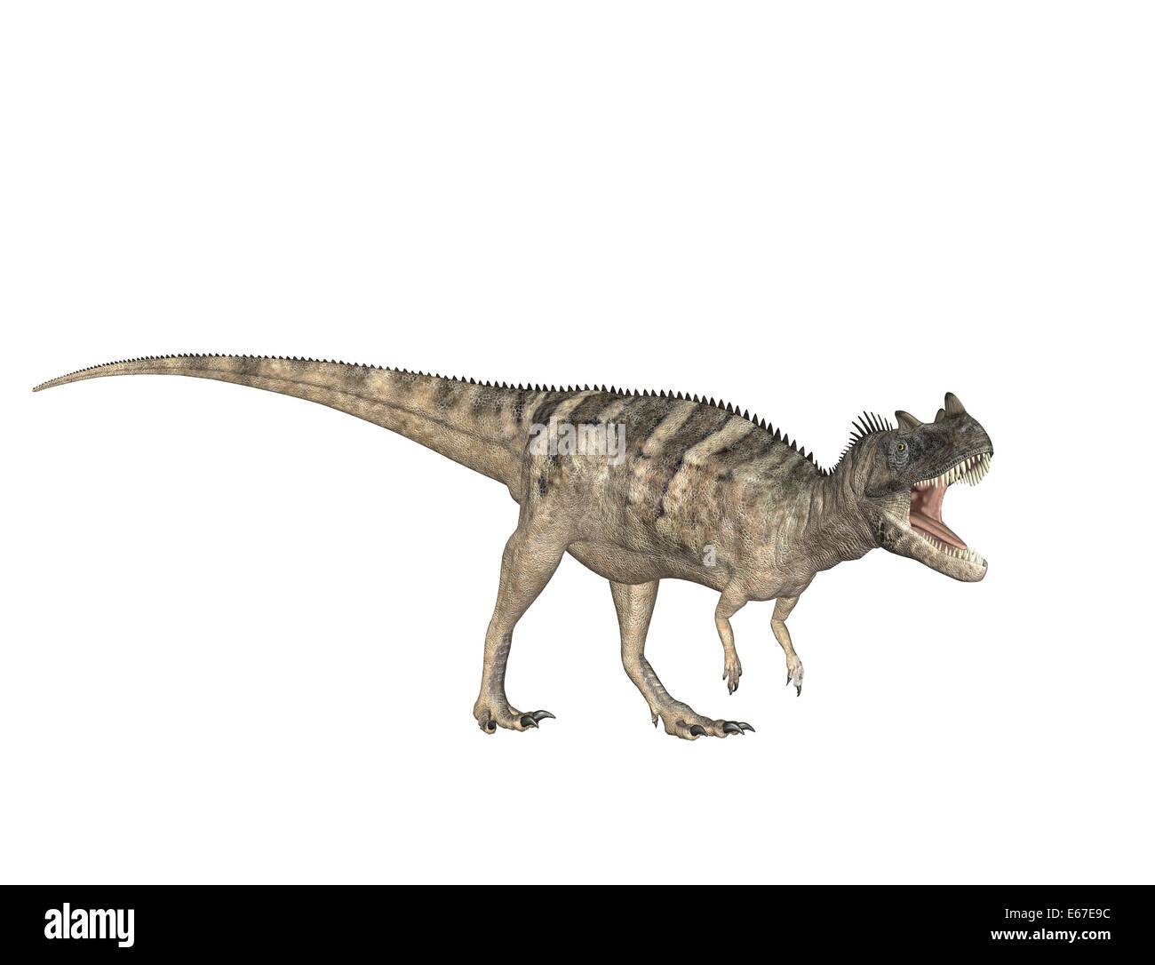 Ceratosaurus Ceratosaurus High Resolution Stock Photography and Images ...