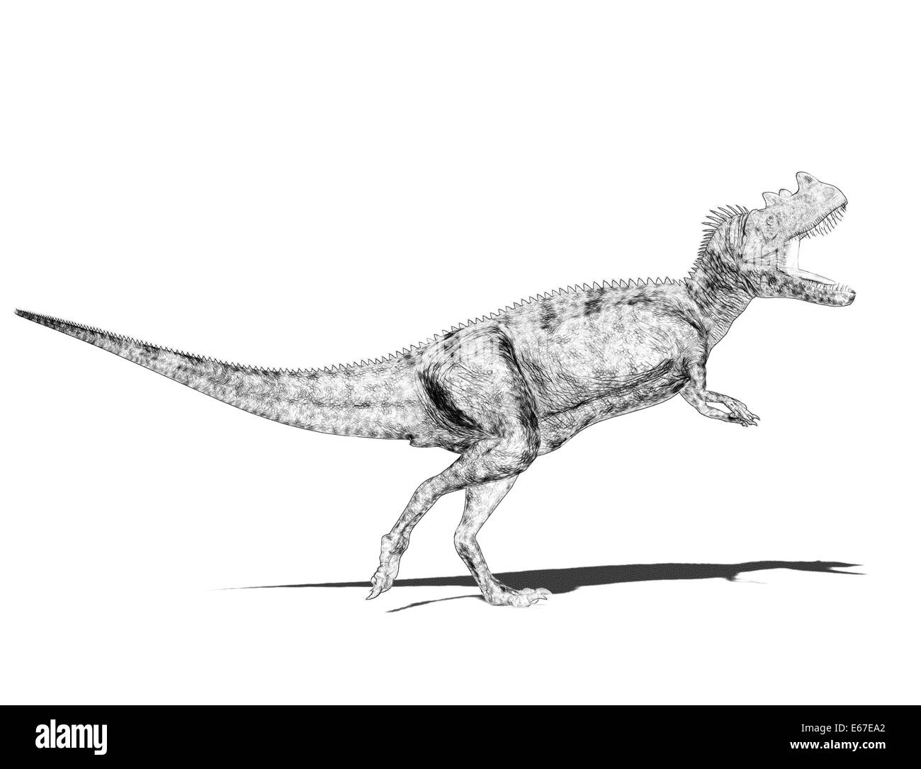 Dinosaurier Ceratosaurus / dinosaur Ceratosaurus Stock Photo - Alamy