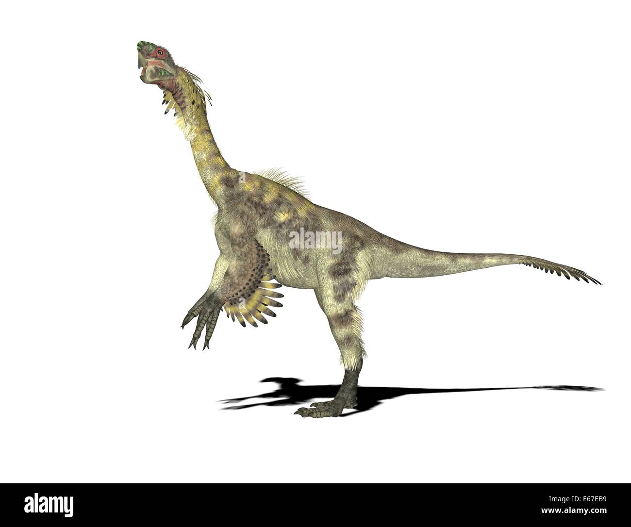 Dinosaurier Citipati / dinosaur Citipati Stock Photo - Alamy
