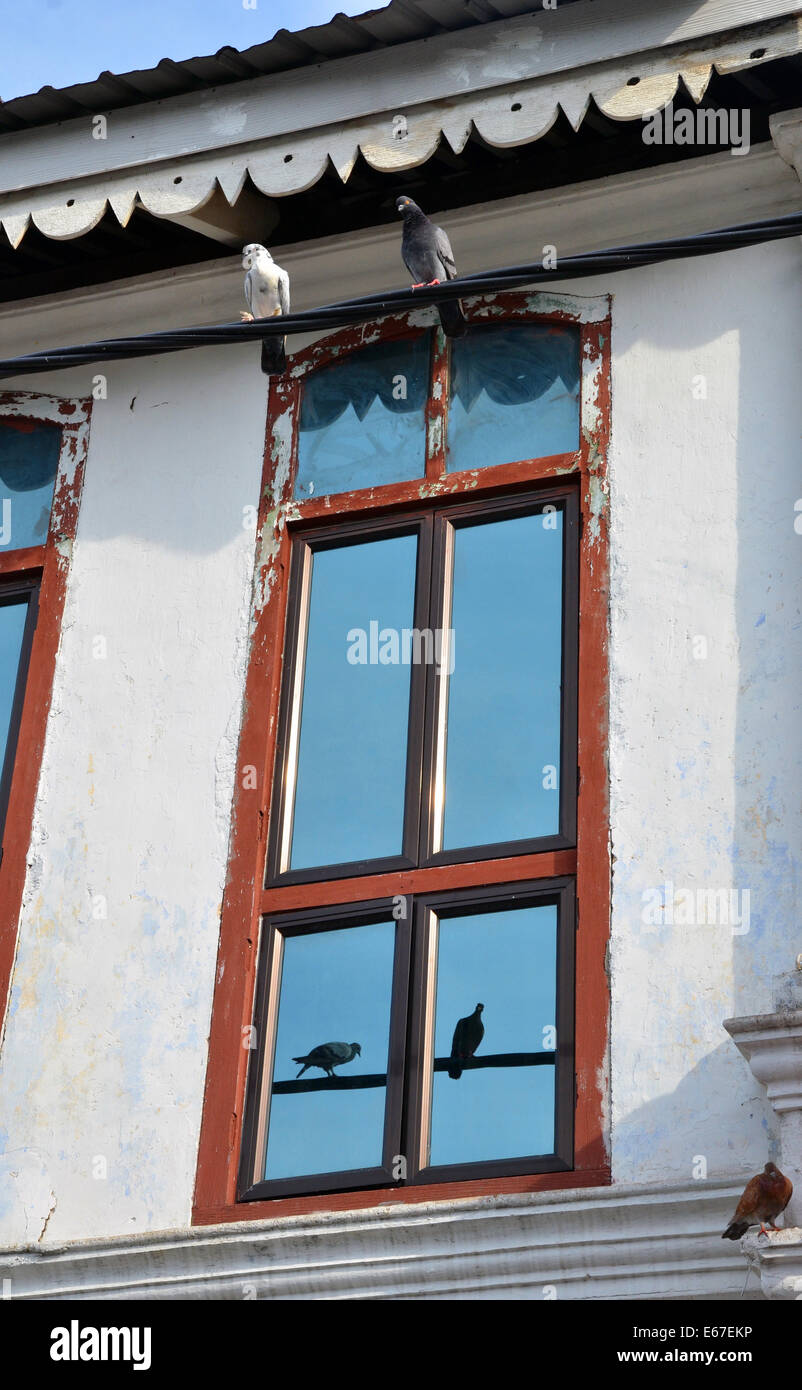Reflections On Window High Resolution Stock Photography and Images - Alamy