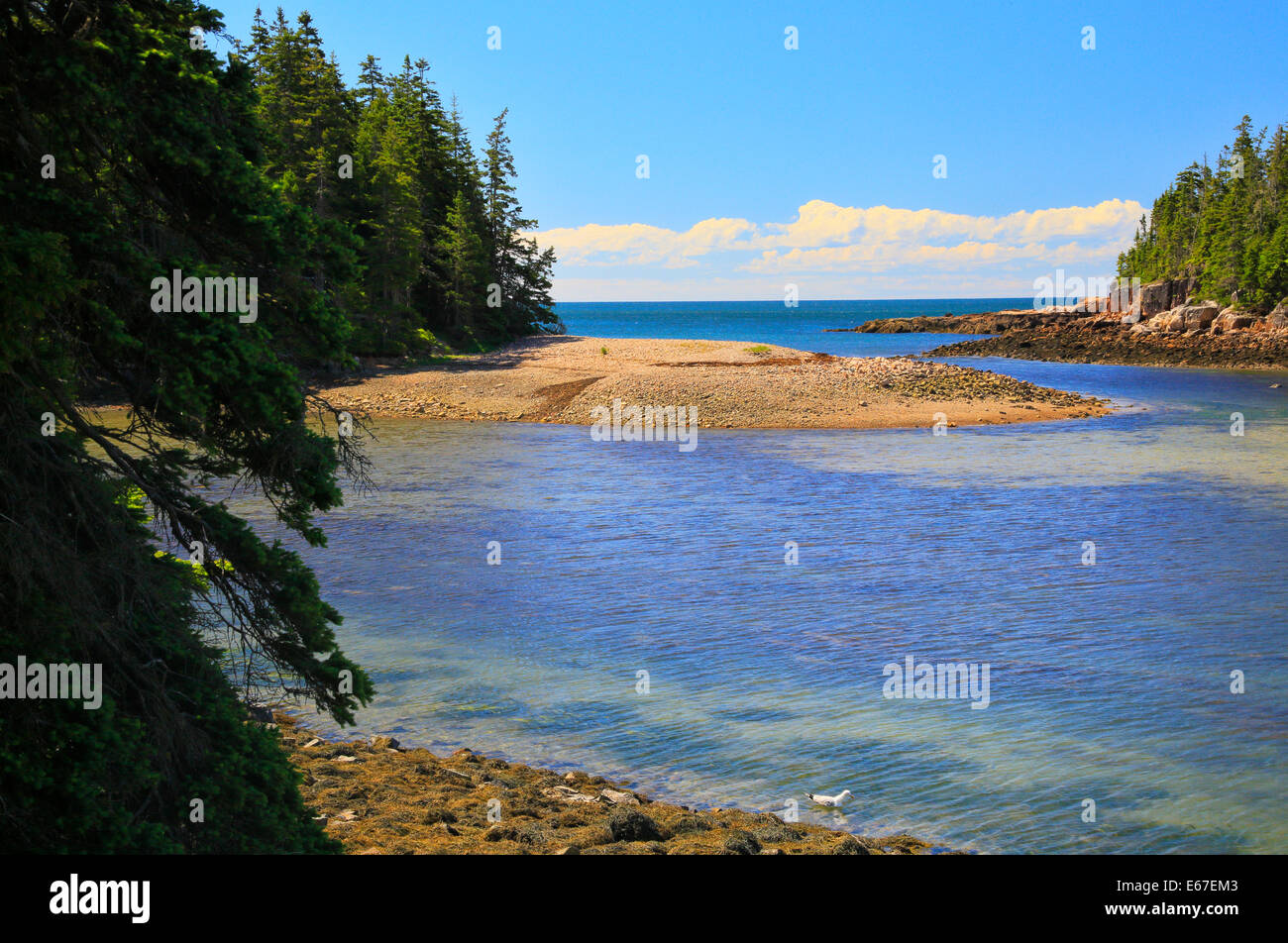 Ship Harbor Trail, Acadia National Park, Maine, USA Stock Photo - Alamy