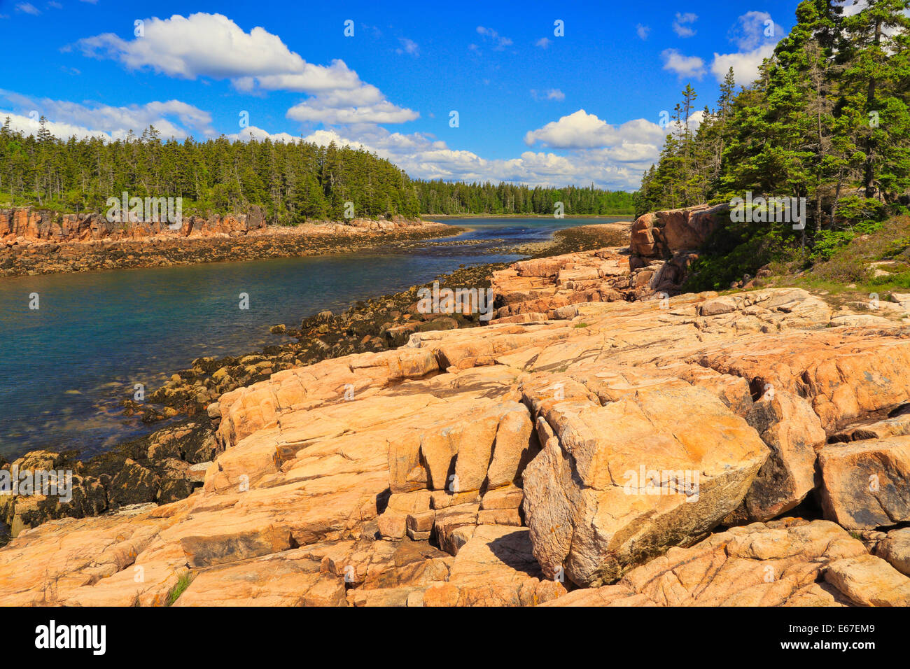 Ship Harbor Trail, Acadia National Park, Maine, USA Stock Photo - Alamy