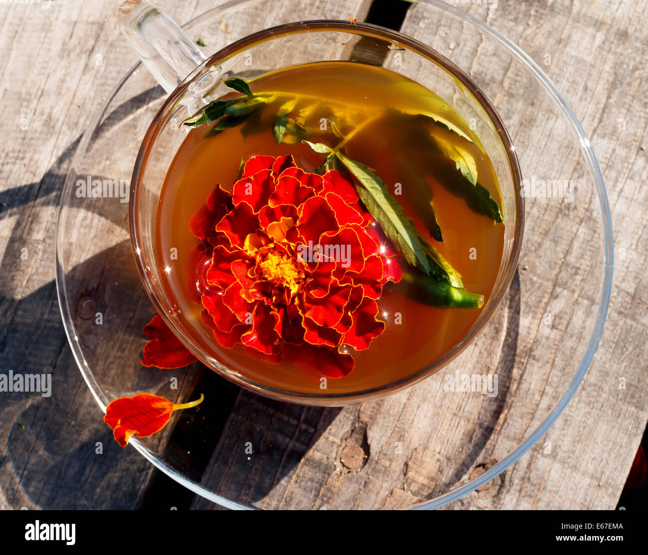 marigold tea, healthy medical plant drink close-up Stock Photo - Alamy