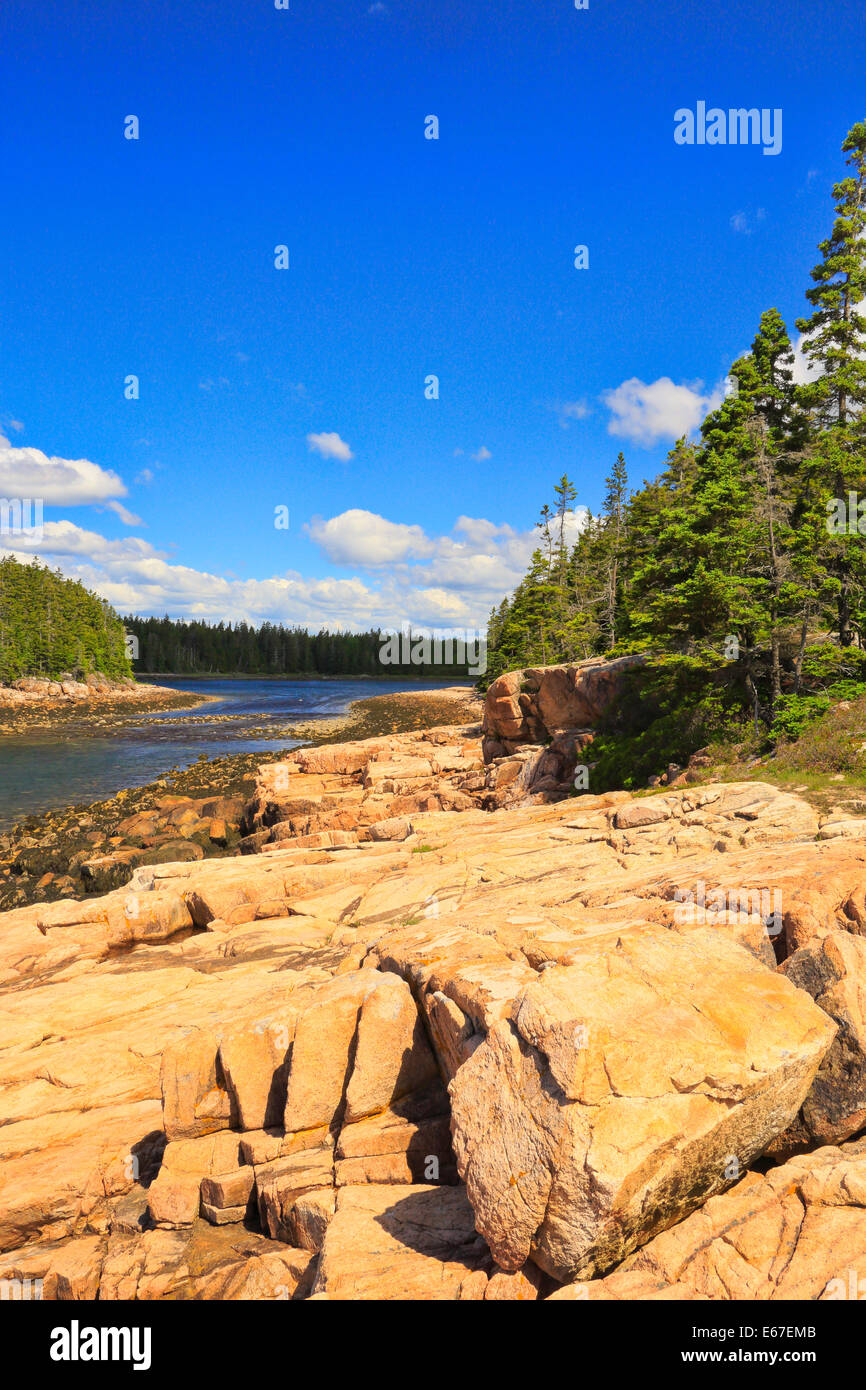 Ship Harbor Trail, Acadia National Park, Maine, USA Stock Photo - Alamy