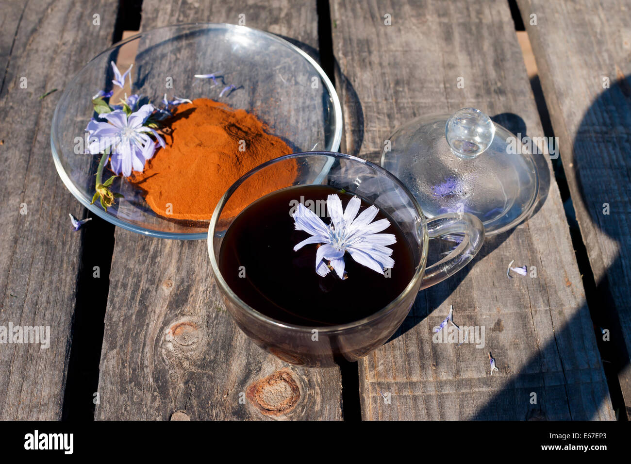 chicory powder on plate with chicory flowers and chicory drink in cup ...