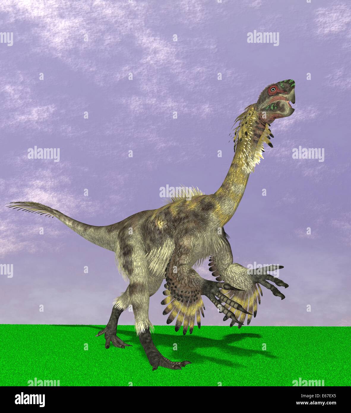 Dinosaurier Citipati / dinosaur Citipati Stock Photo - Alamy