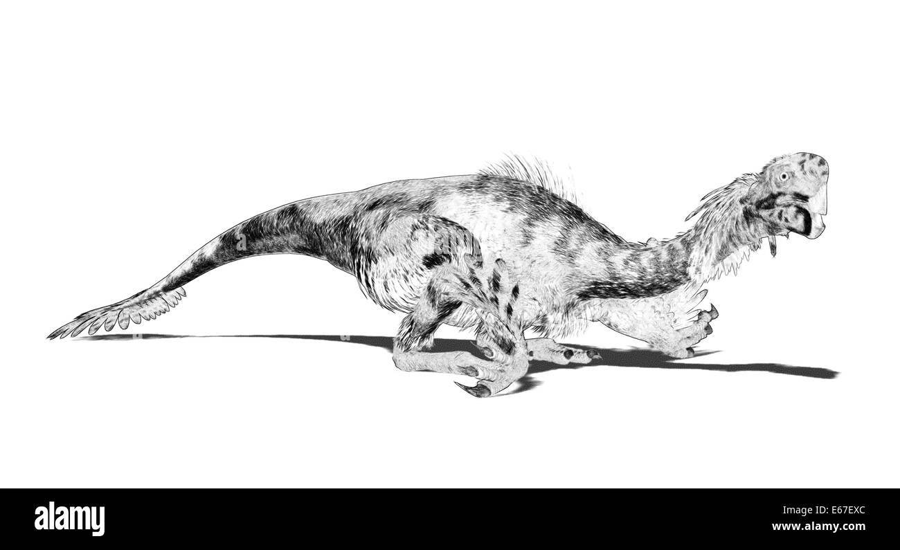 Dinosaurier Citipati / dinosaur Citipati Stock Photo - Alamy