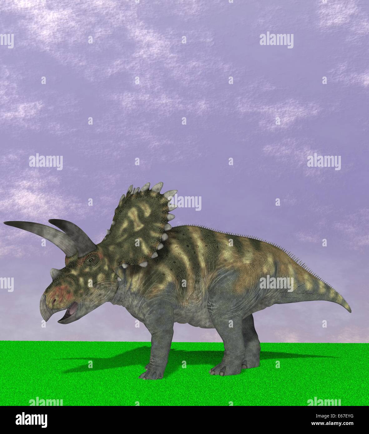 Coahuilaceratops