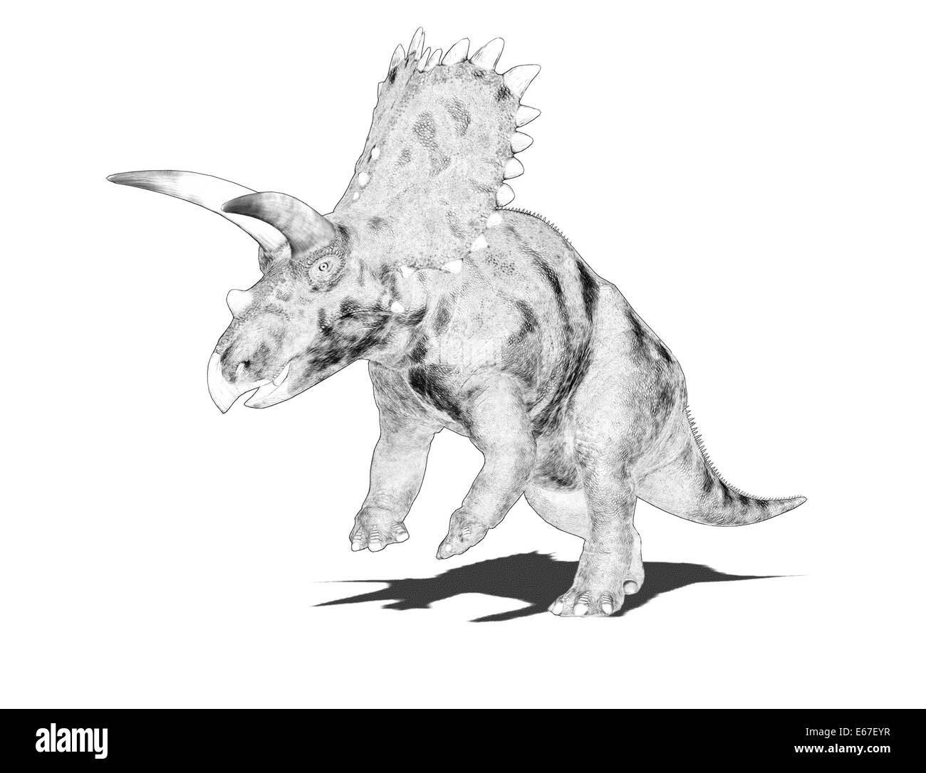 Dinosaurier Coahuilaceratopsi / dinosaur Coahuilaceratops Stock Photo ...